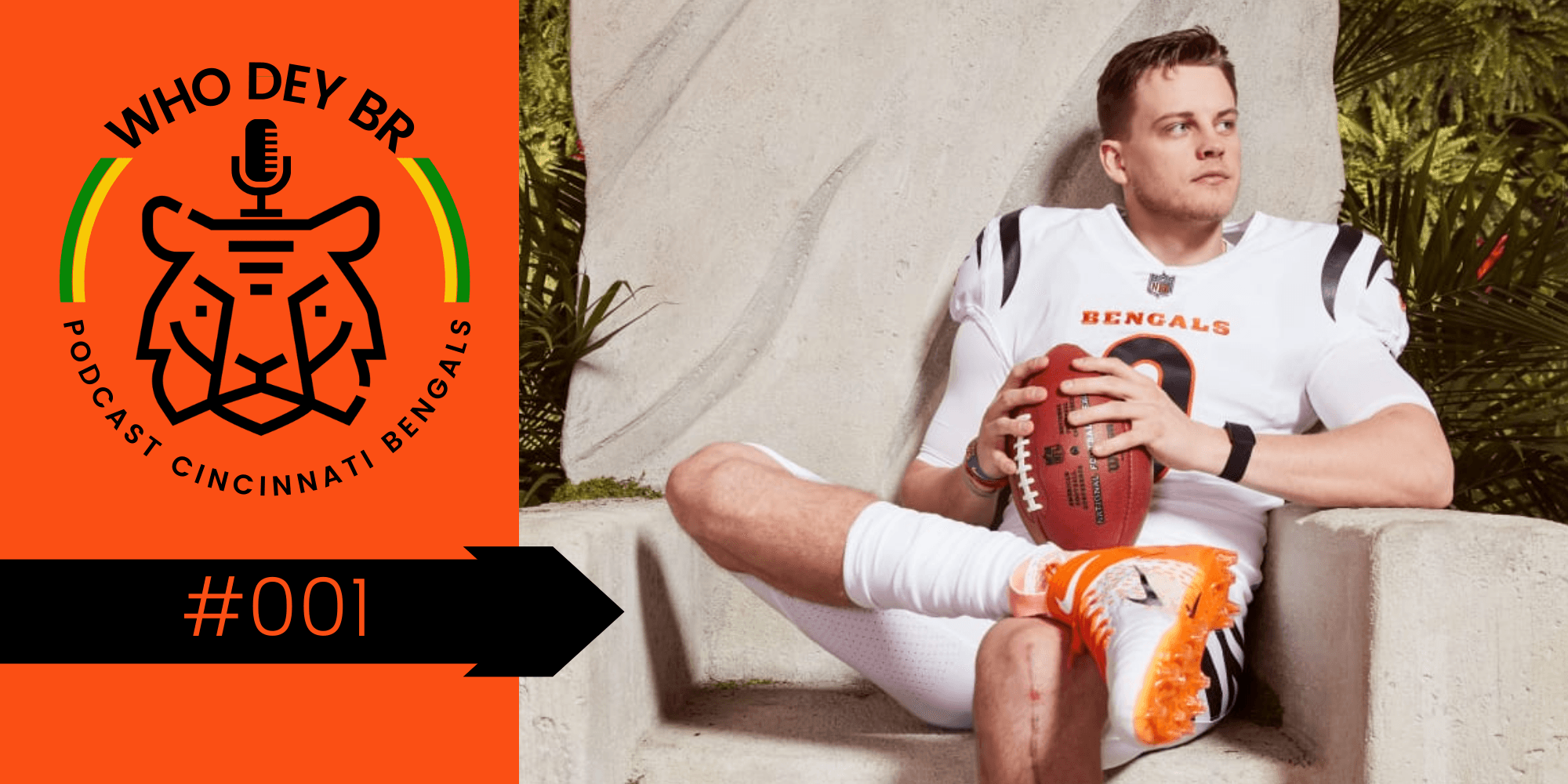 Who Dey BR Episódio 001 - Avaliações e expectativas - Fumble na Net ...