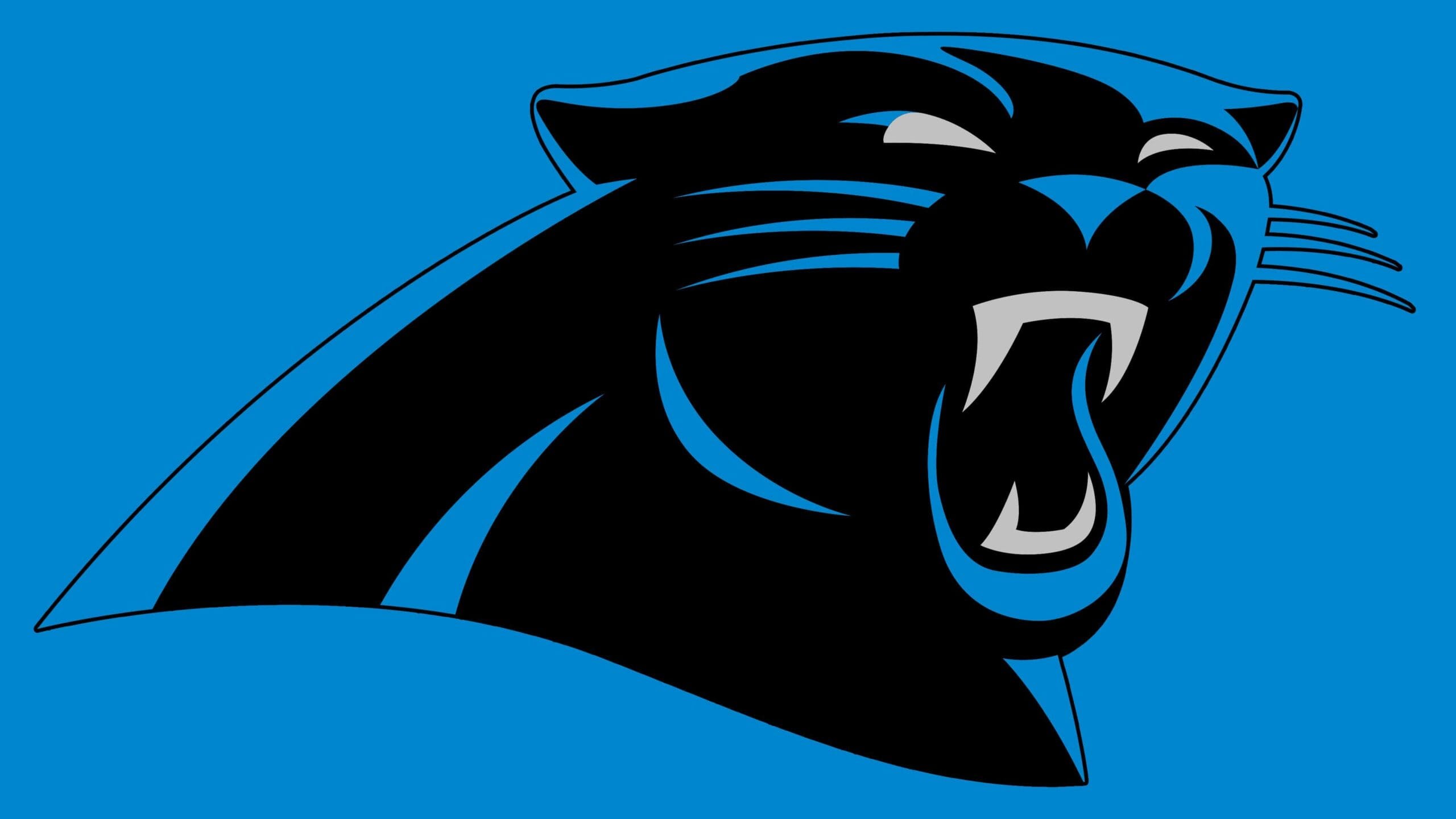 Ranking Torcidas NFL: #18 Carolina Panthers - FN Network